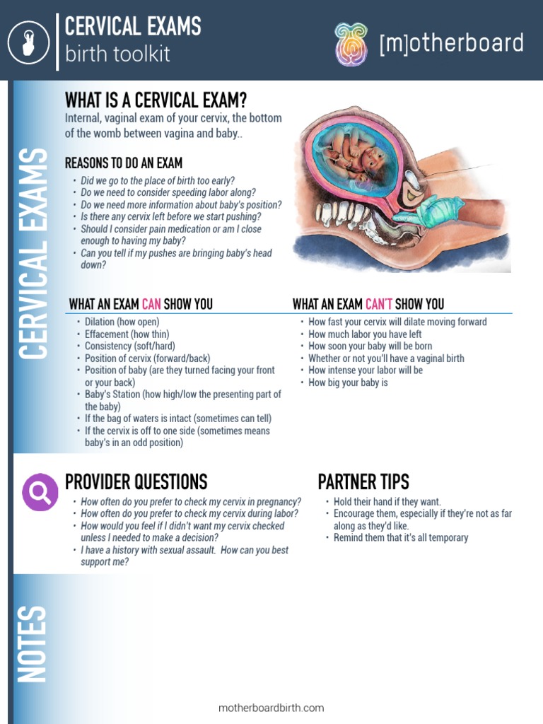 Cervical Exams - Parent Handout | PDF | Maternal Health | Childbirth