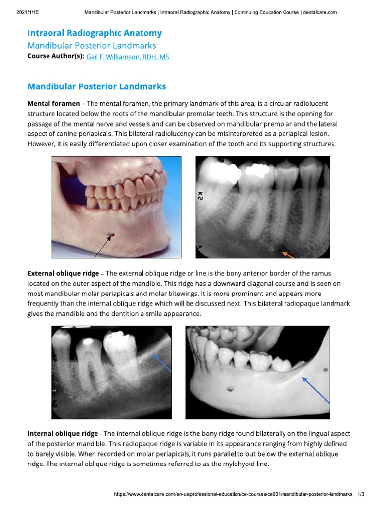 Mandibular Anatomical Landmarks 2 | PDF