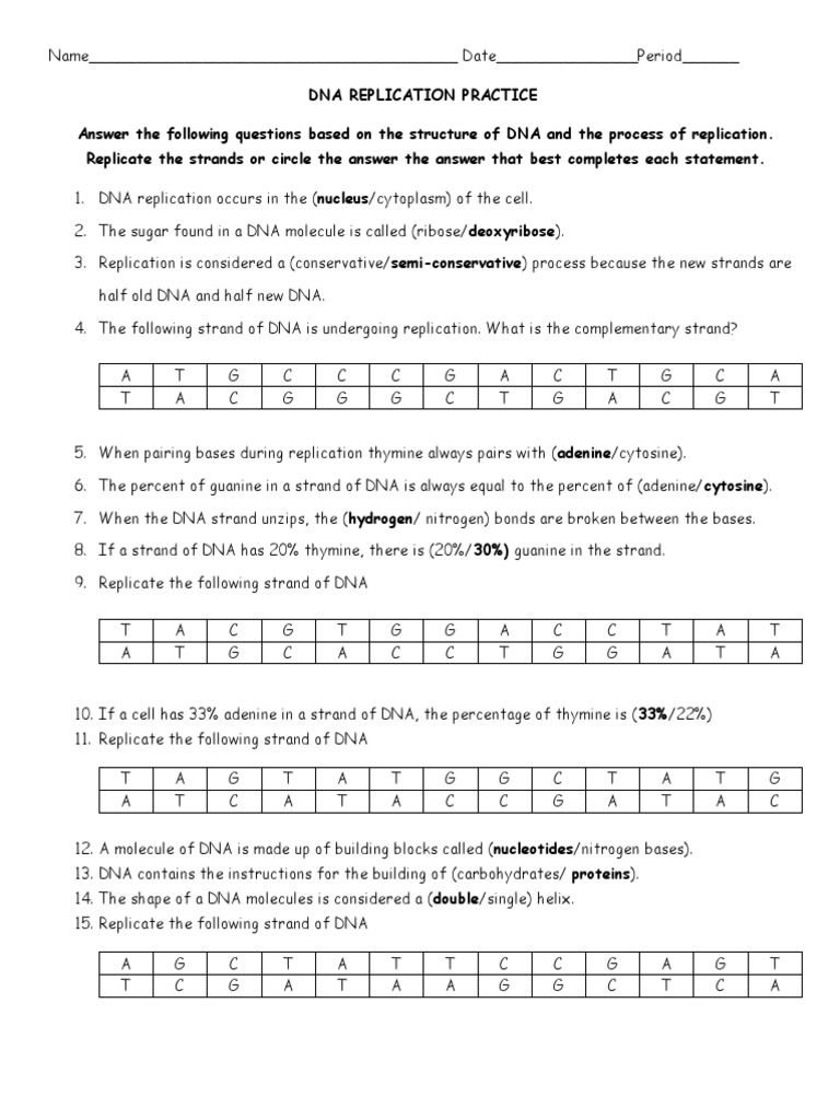 DNA Replication Worksheet | PDF