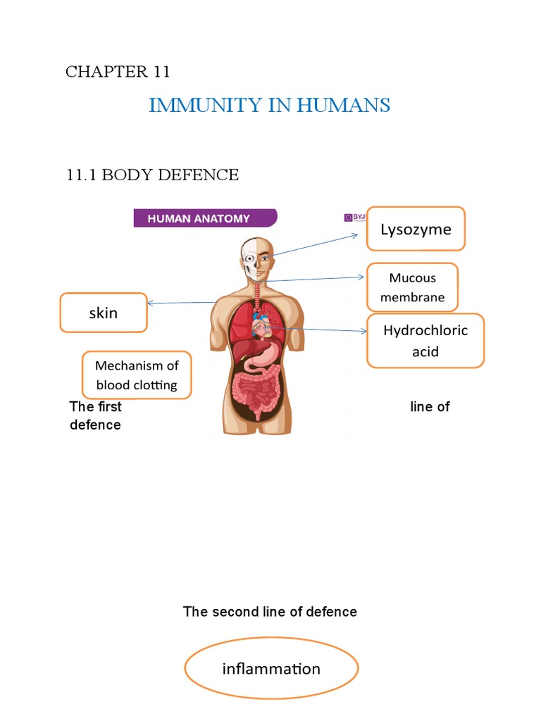Human Immunity and Defense Mechanisms | PDF