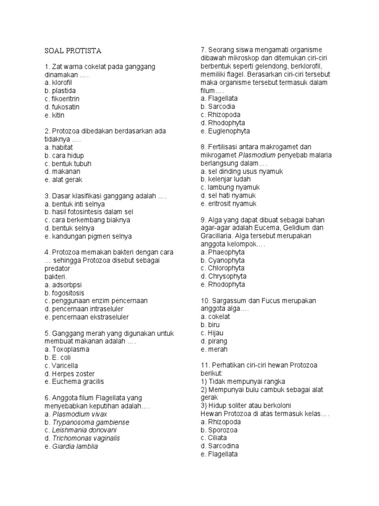 Soal Protista | PDF