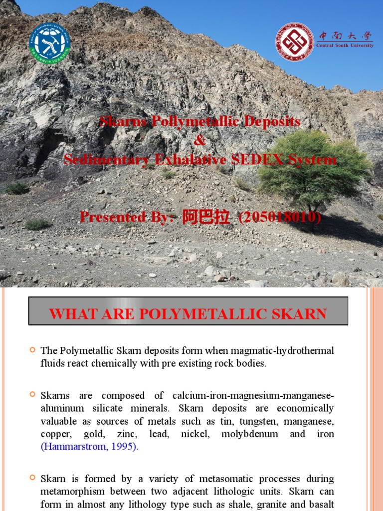 Polymetallic Skarn and SEDEX Deposits | PDF | Rocks | Petrology