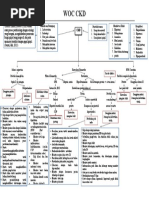 WOC CKD On HD | PDF