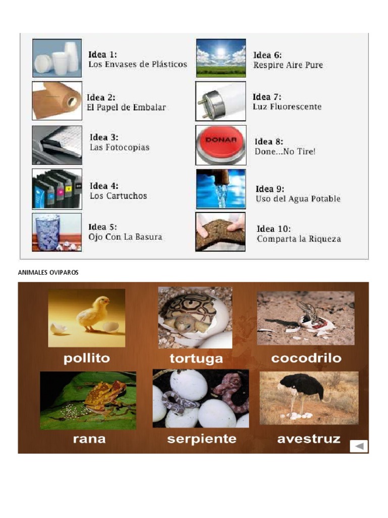 10 Consejos para Cuidar El Medio Ambiente | PDF