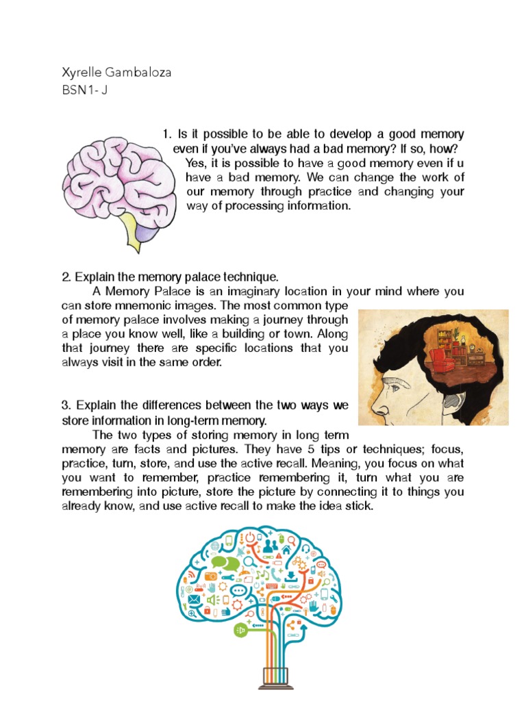 Working Memory | PDF