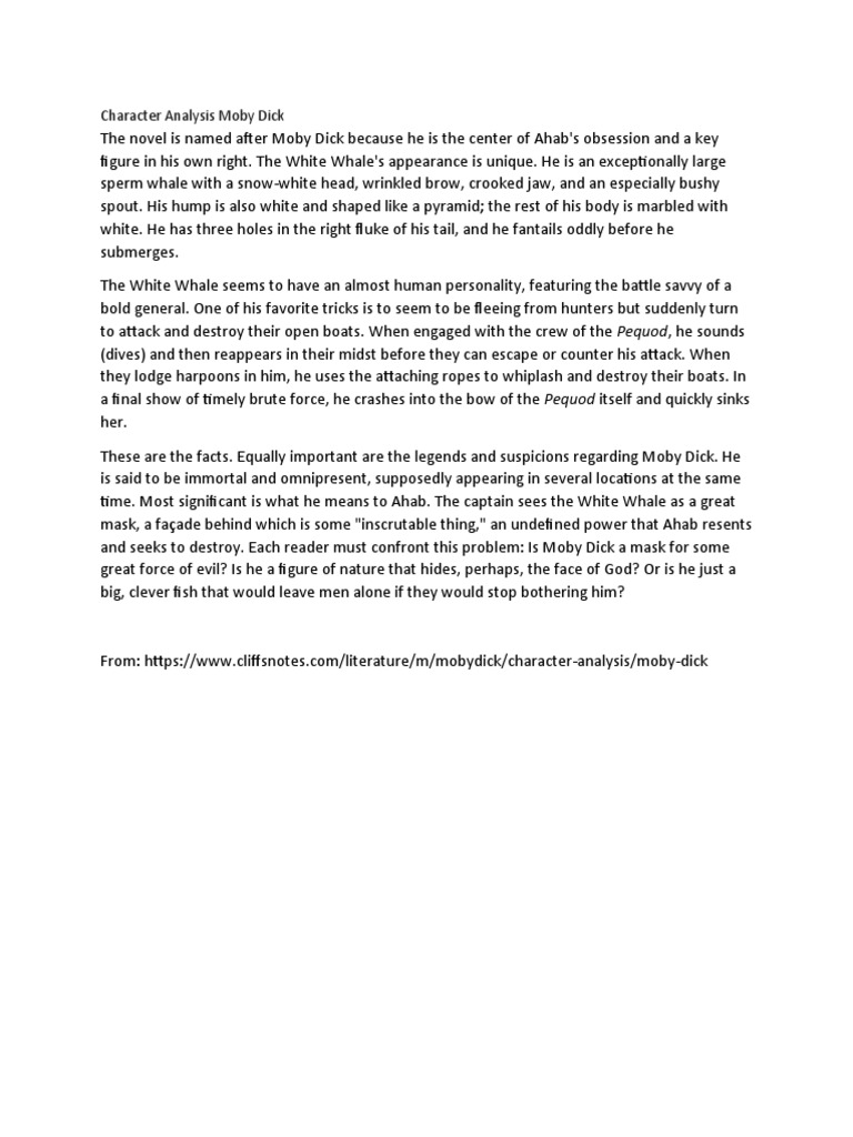 Character Analysis of Moby Dick | PDF