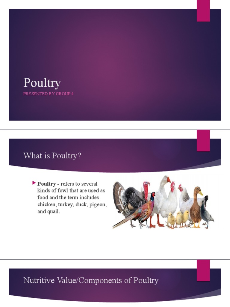Poultry | PDF | Chicken | Poultry