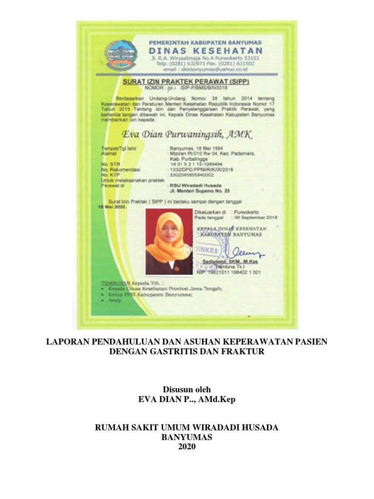 Contoh Askep PKB Online PPNI | PDF