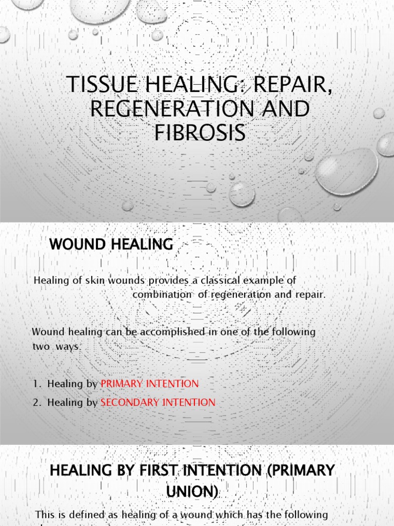 Wound Healing: Primary vs Secondary Intention | PDF | Wound Healing ...