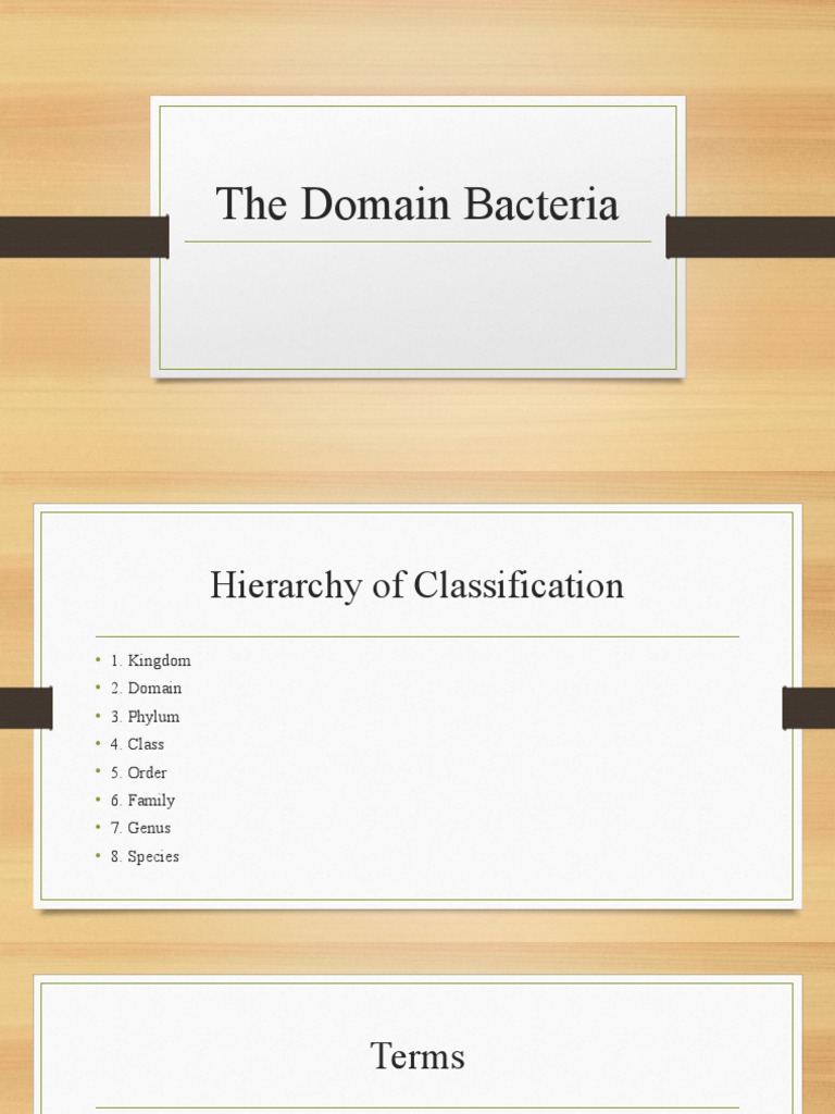 The Domain Bacteria | PDF | Cyanobacteria | Bacteria