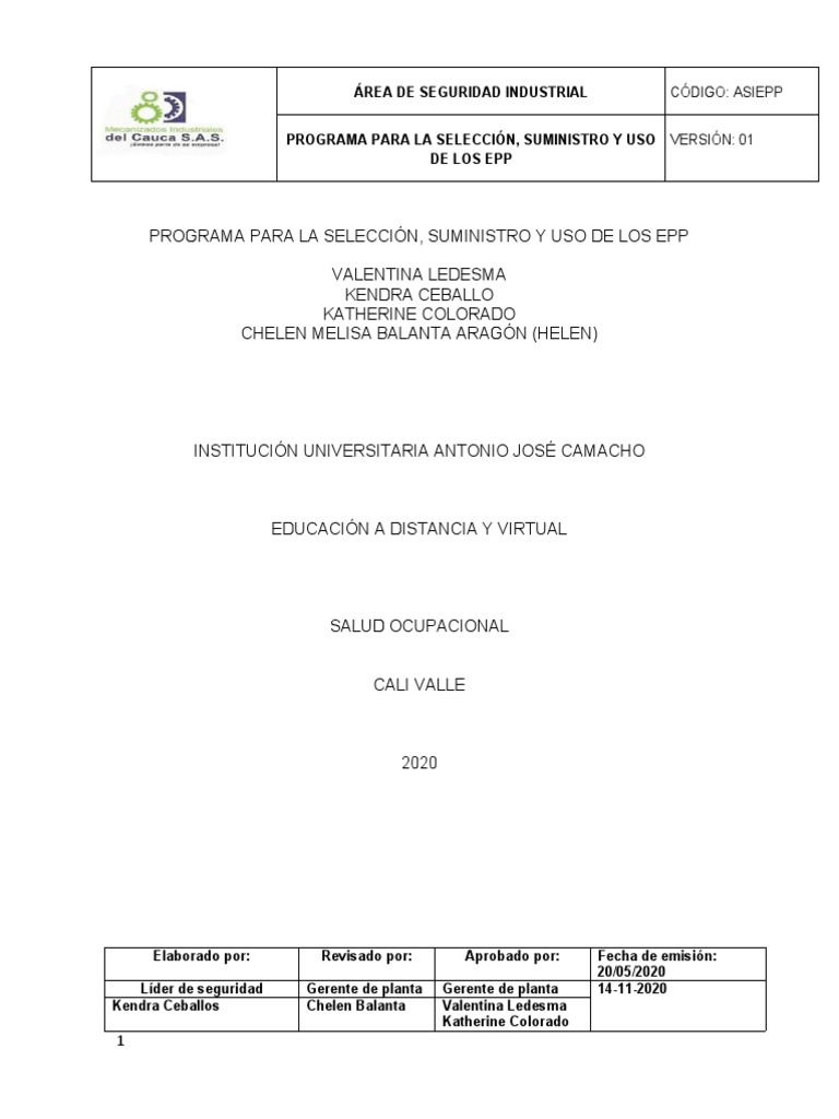 Programa de Epp Uso y Mantenimiento | PDF | Soldadura | Construcción