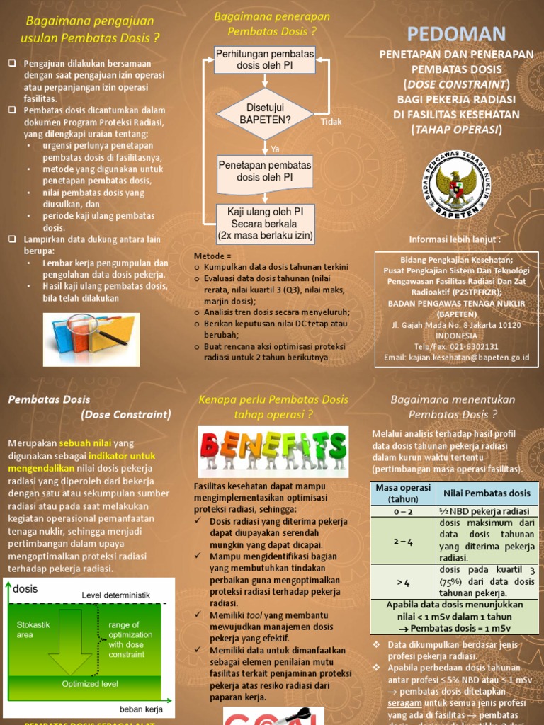 Leaflet Pembatas Dosis Dose Constraint | PDF