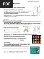 Pengertian Elips Beserta Rumus Dan Contoh Soalnya | PDF