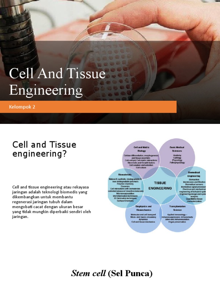 Cell and Tissue Engineering | PDF