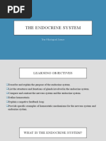 ARDSnet Protocols PDF | PDF | Breathing | Clinical Medicine