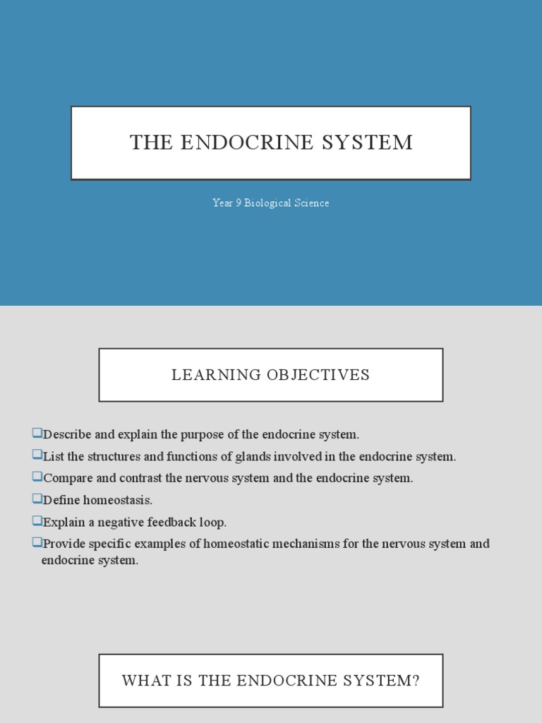 The Endocrine System: Year 9 Biological Science | PDF | Homeostasis ...