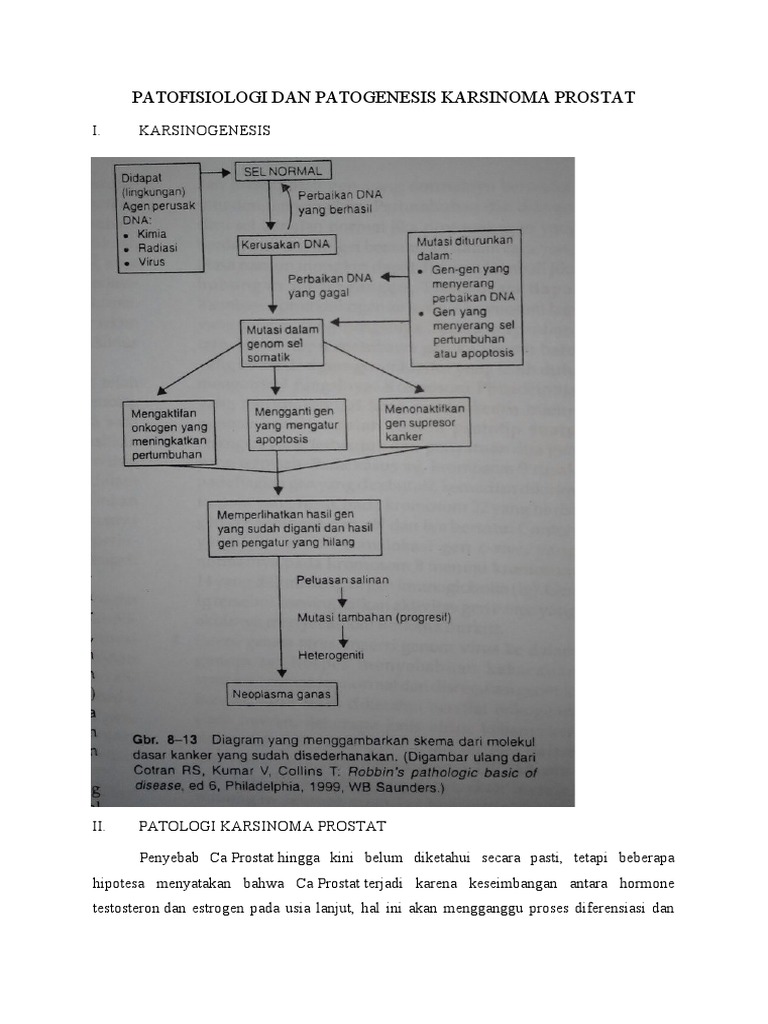 Patofisiologi Dan Patogenesis Karsinoma Prostat | PDF