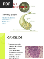Conducto Ependimario | PDF | Sistema nervioso central | Anatomía humana