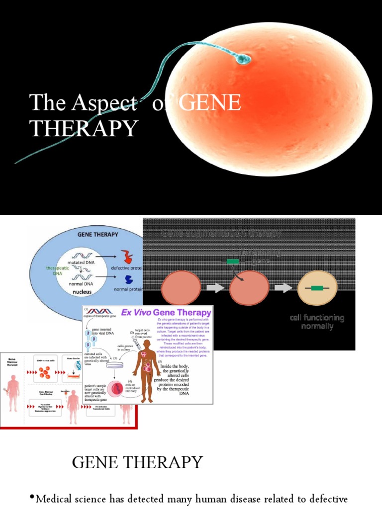 The Aspects of GENE THERAPY | PDF | Gene Therapy | Stem Cell