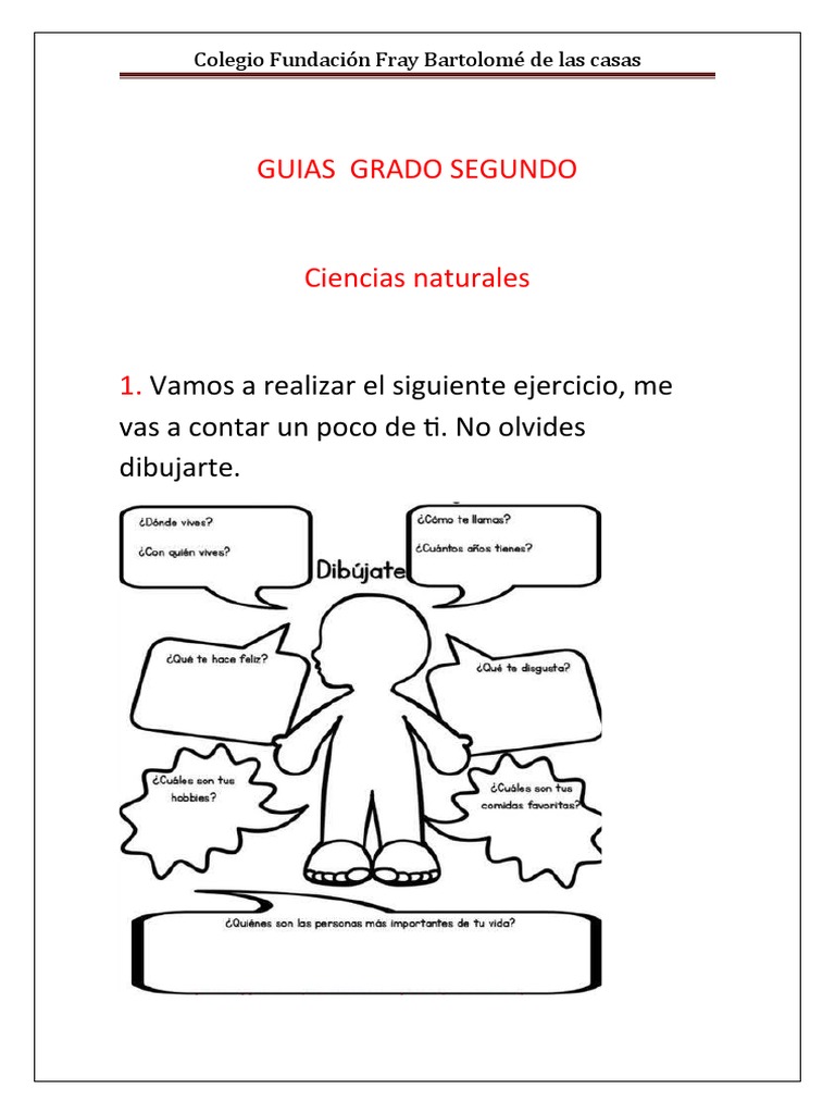 Guias Grado Segundo Ciencias | PDF