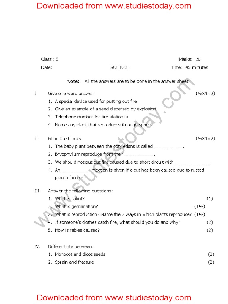 CBSE Class 5 Science Sample Paper Set G | PDF | Seed | Biological ...