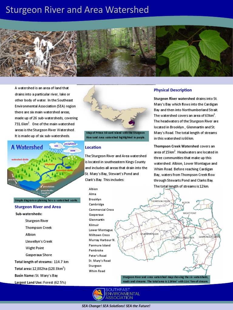 Sturgeon River Fact Sheet | PDF | Stream | Drainage Basin