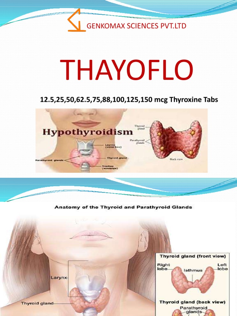 Thyroid | PDF | Hypothyroidism | Thyroid