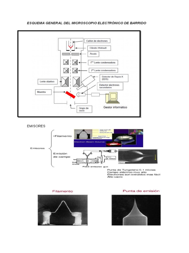 Esquema General Del Microscopio Electrónico de Barrido | PDF ...