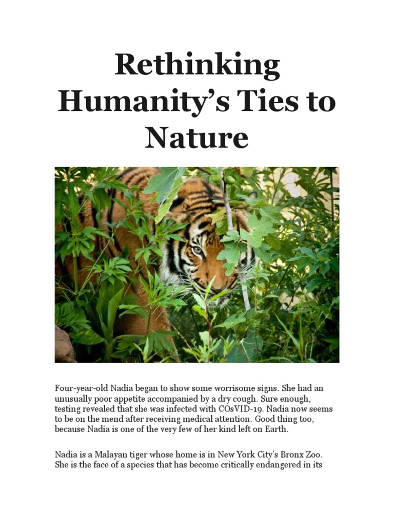 Rethinking Humanity's Ties To Nature | PDF | Predation | Ecology