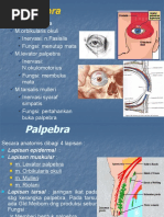 Lagoftalmus: Penyebab, Gejala, dan Pengobatan | PDF