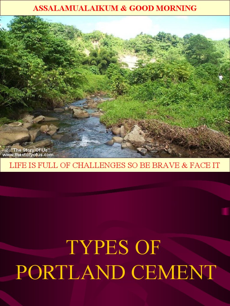 1.5 Types of Portland Cement | Download Free PDF | Cement | Composite ...
