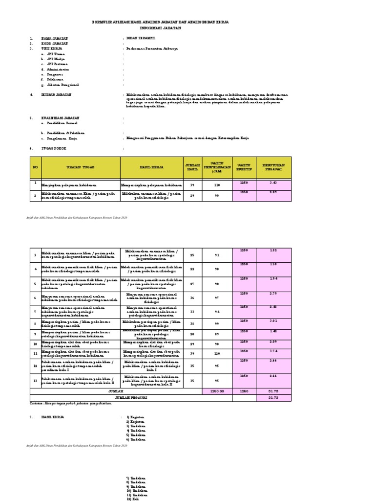 Anjab Bidan Terampil | PDF