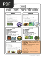 Grade 6 - Classification of Plants | PDF