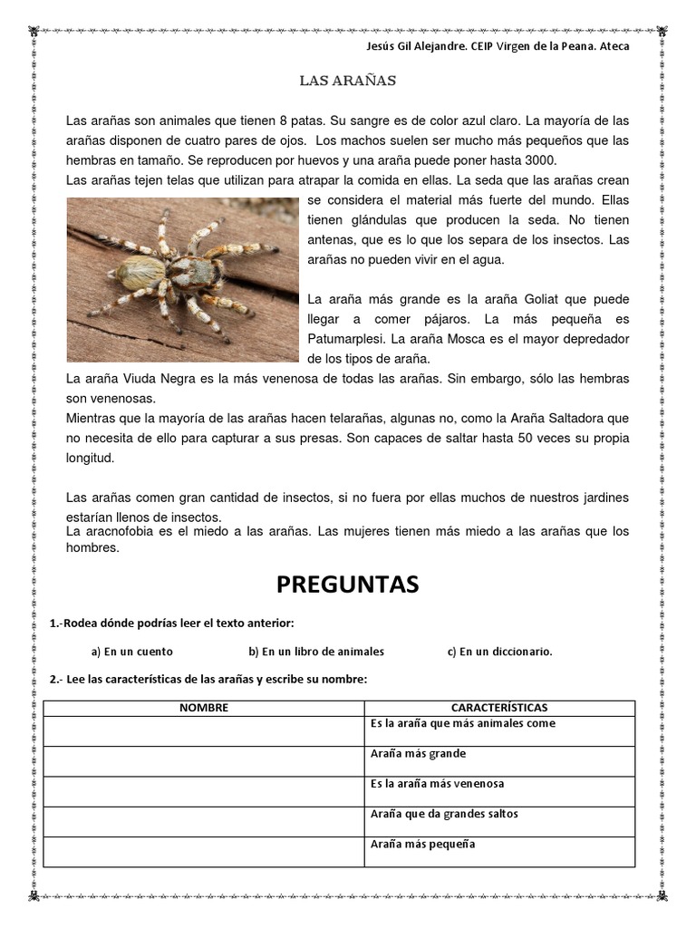 Las Arañas | PDF | Araña | Insectos