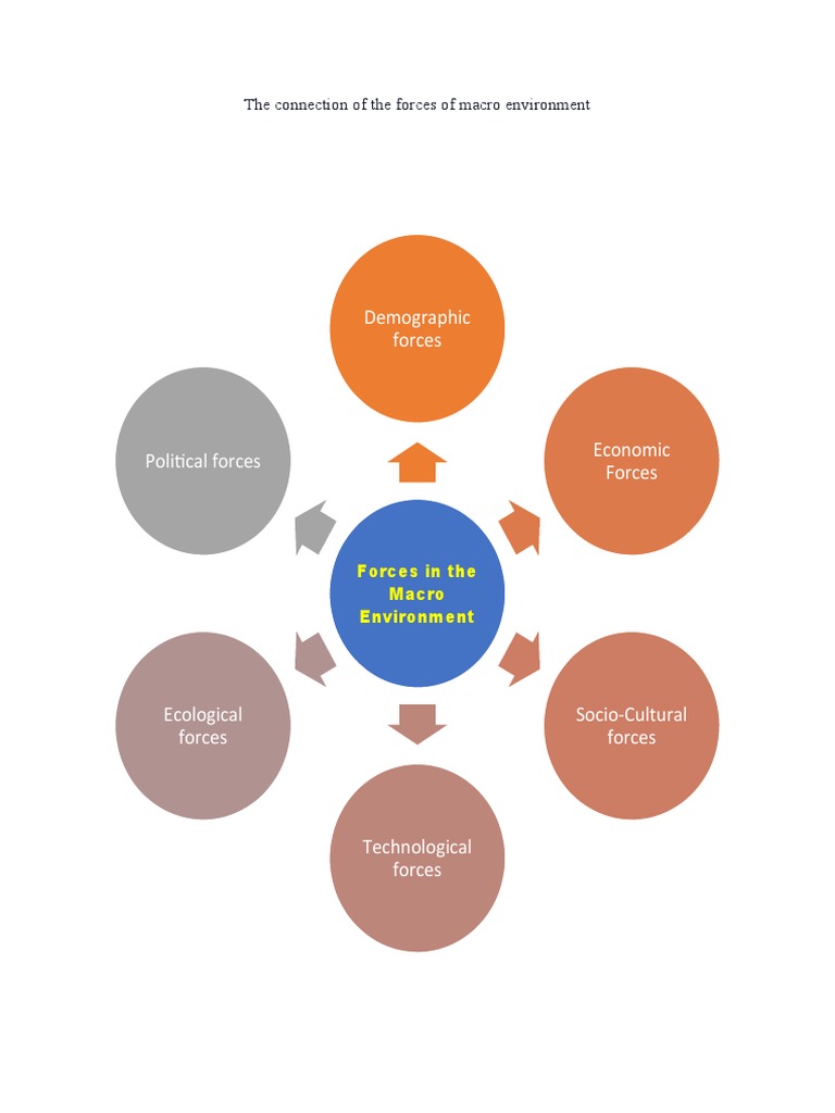 Macro Environment | PDF