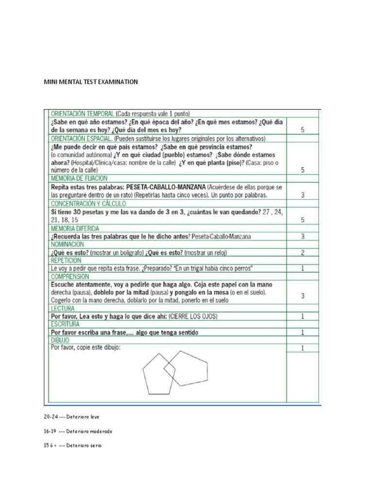 Mini Mental Test Examination | PDF