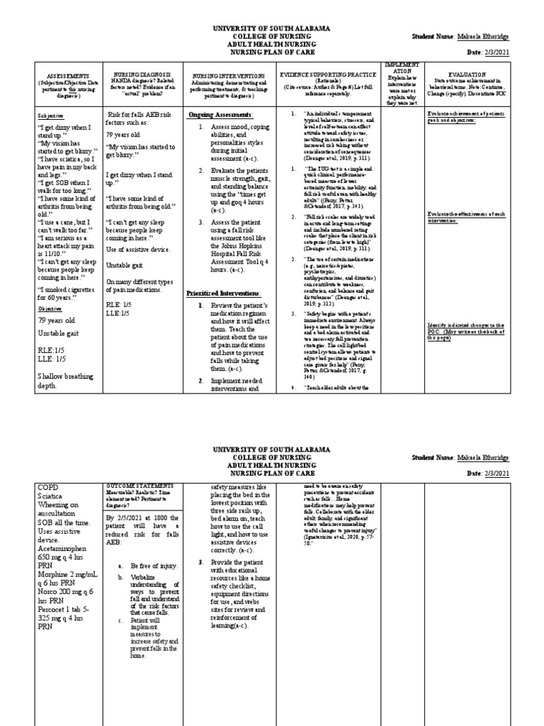A Comprehensive Nursing Plan of Care for a 79-Year-Old Patient at Risk ...