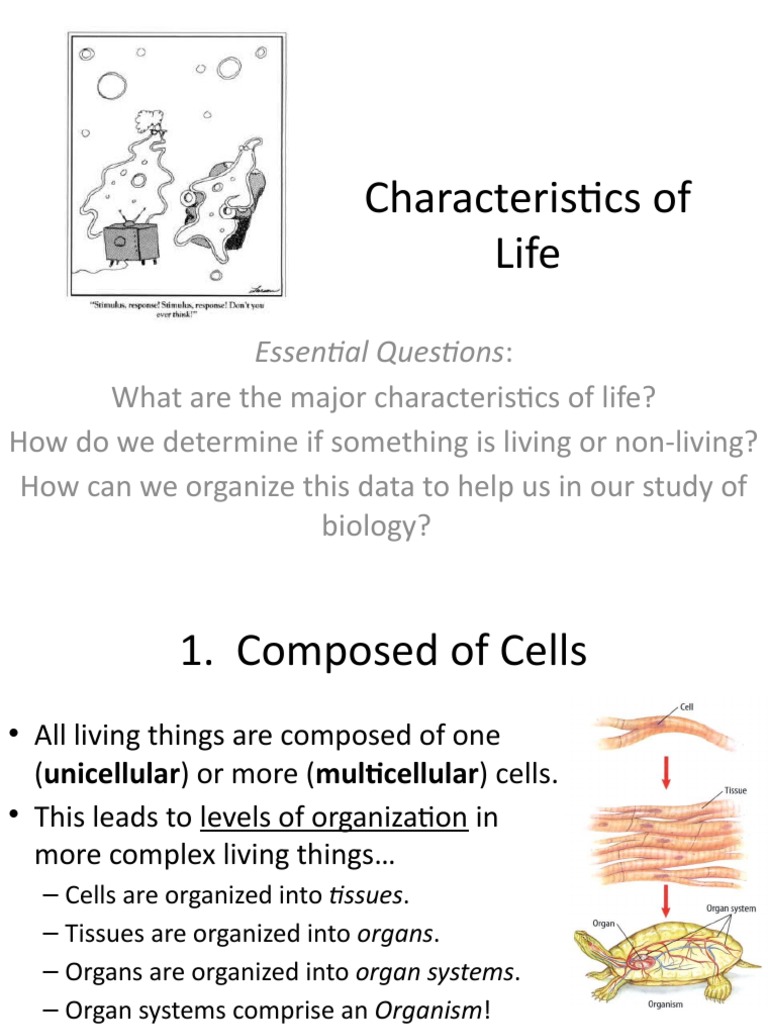 Unit 1B - Characteristics of Life | PDF | Reproduction | Life