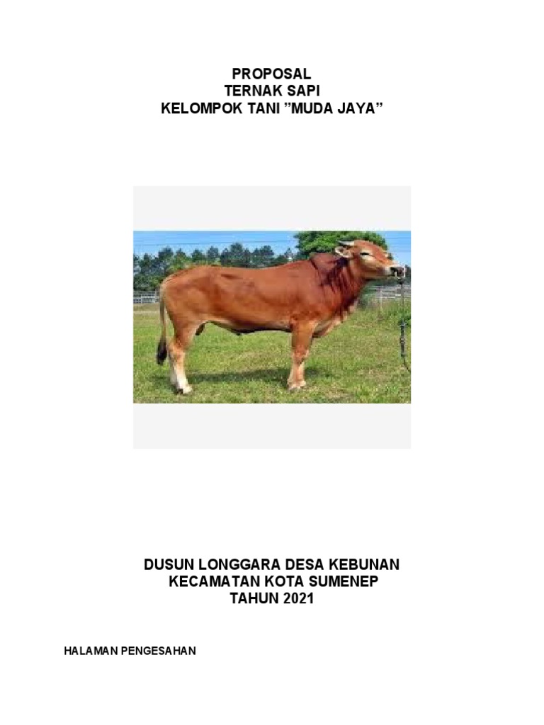 Proposal Ternak Sapi Muda Jaya | PDF