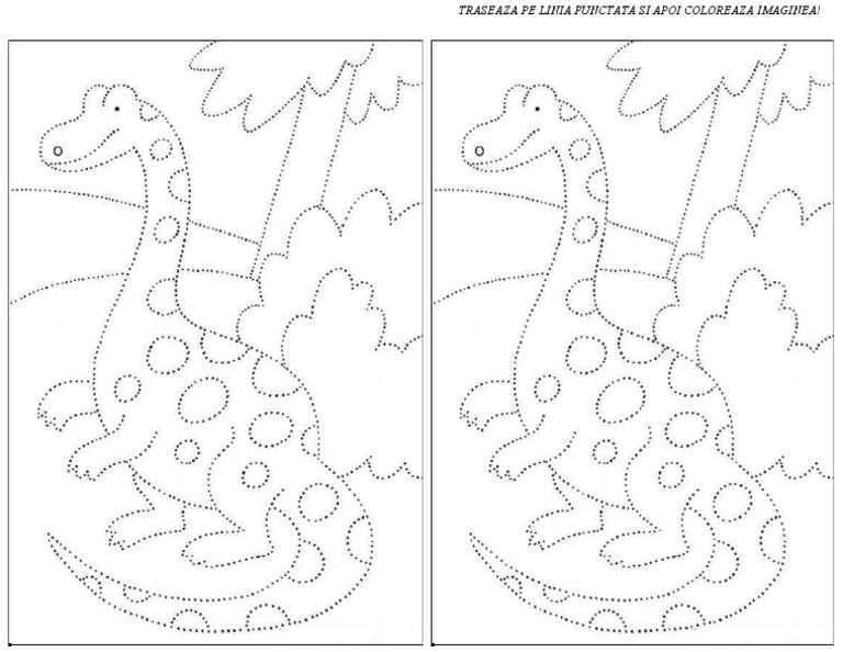 Linie Punctata | PDF