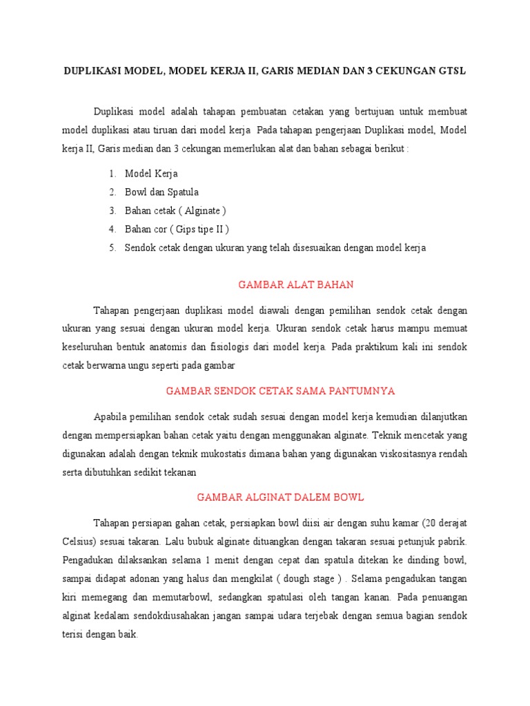 Duplikasi Model | PDF