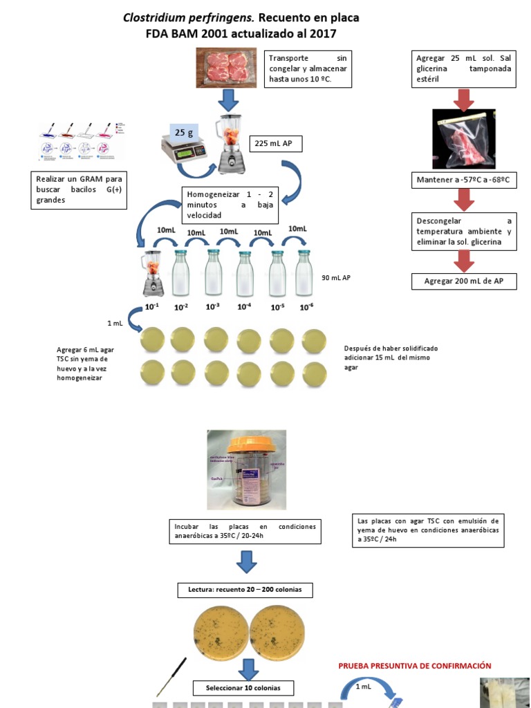 Alimentos Fda Bam | PDF | Química | Alimentos