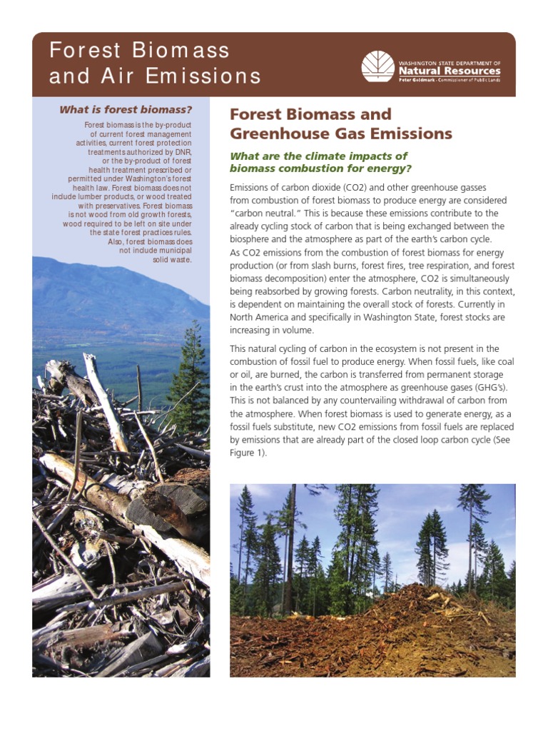 Forest Biomass and GHG Emissions Impact | PDF | Greenhouse Gas | Biomass