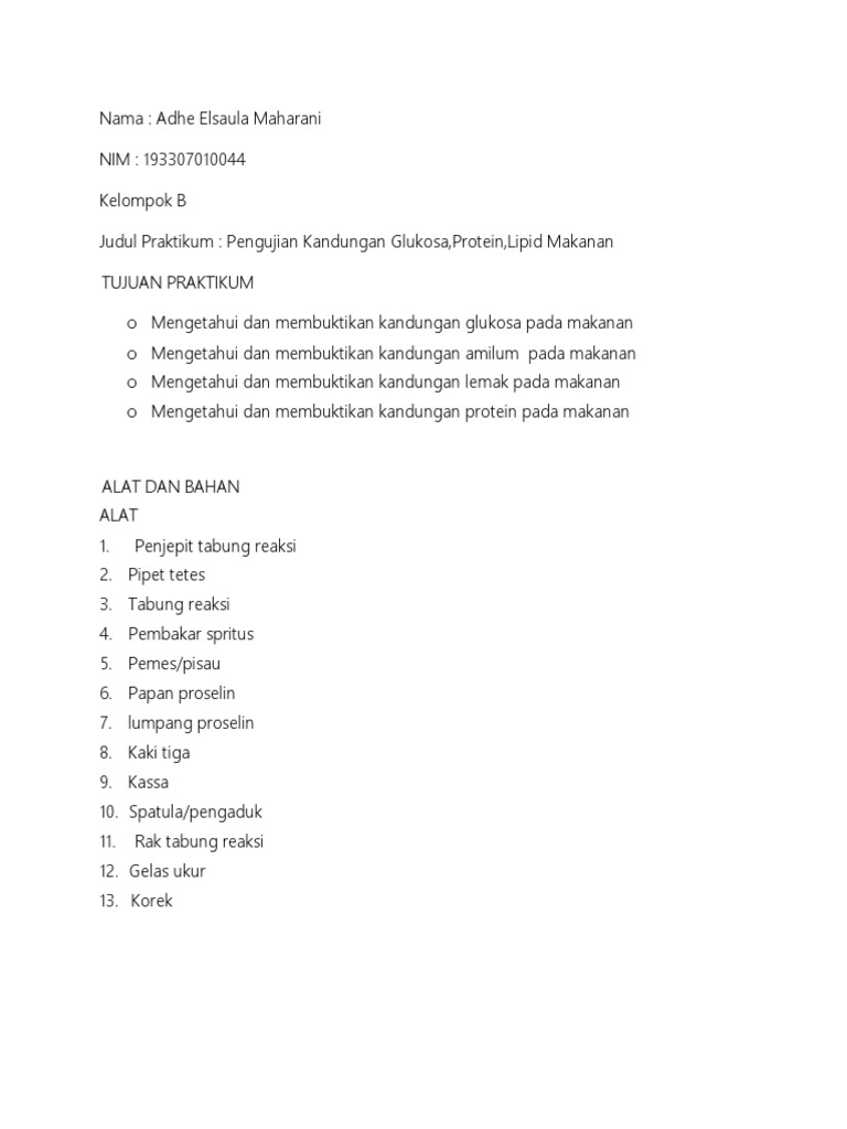 Kel B - Adhe Elsa - 044 | PDF