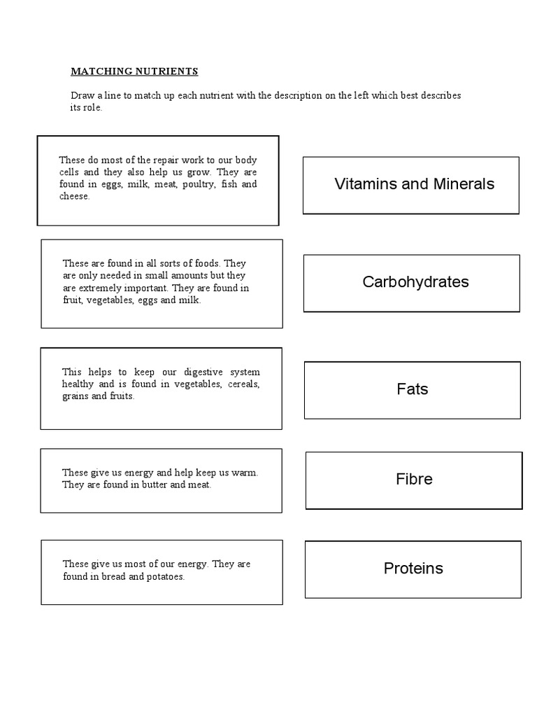 Food Group Worksheet | PDF