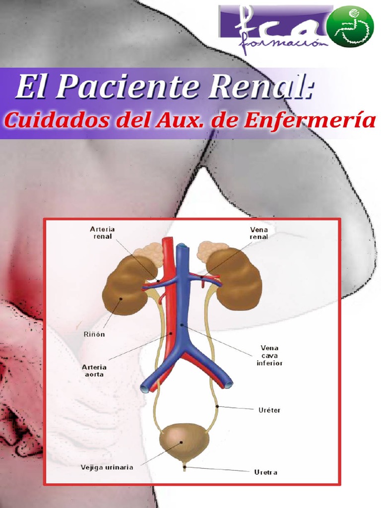 Curso Paciente Renal. Cuidados Aux de Enfermería | PDF | Riñón ...