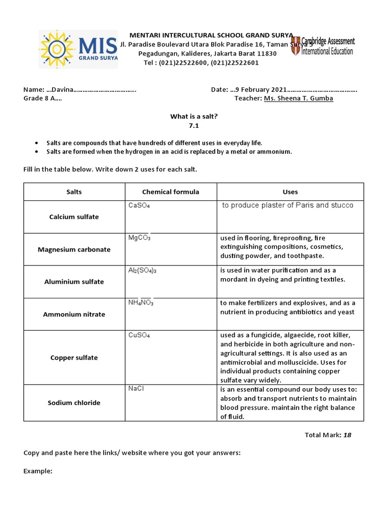 Davina 07 - Worksheet About Salt | PDF | Salt (Chemistry) | Salt