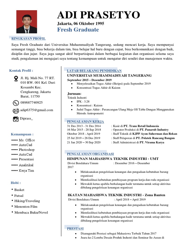 CV Adi Prasetyo PR01 - Compressed | PDF | Karier & Perkembangan | Seni