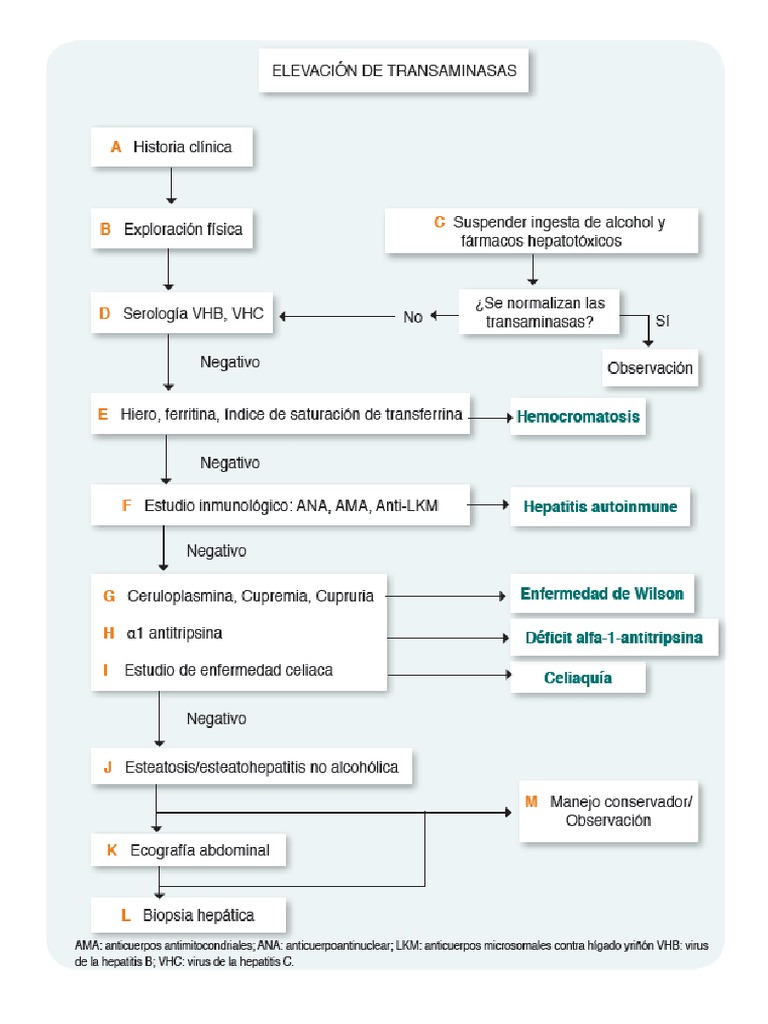 Algoritmo Elevación Transaminasas SEMI | PDF