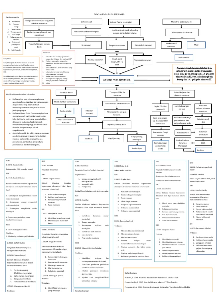 Woc Anemia Pada Ibu Hamil Kelompok 2 | PDF